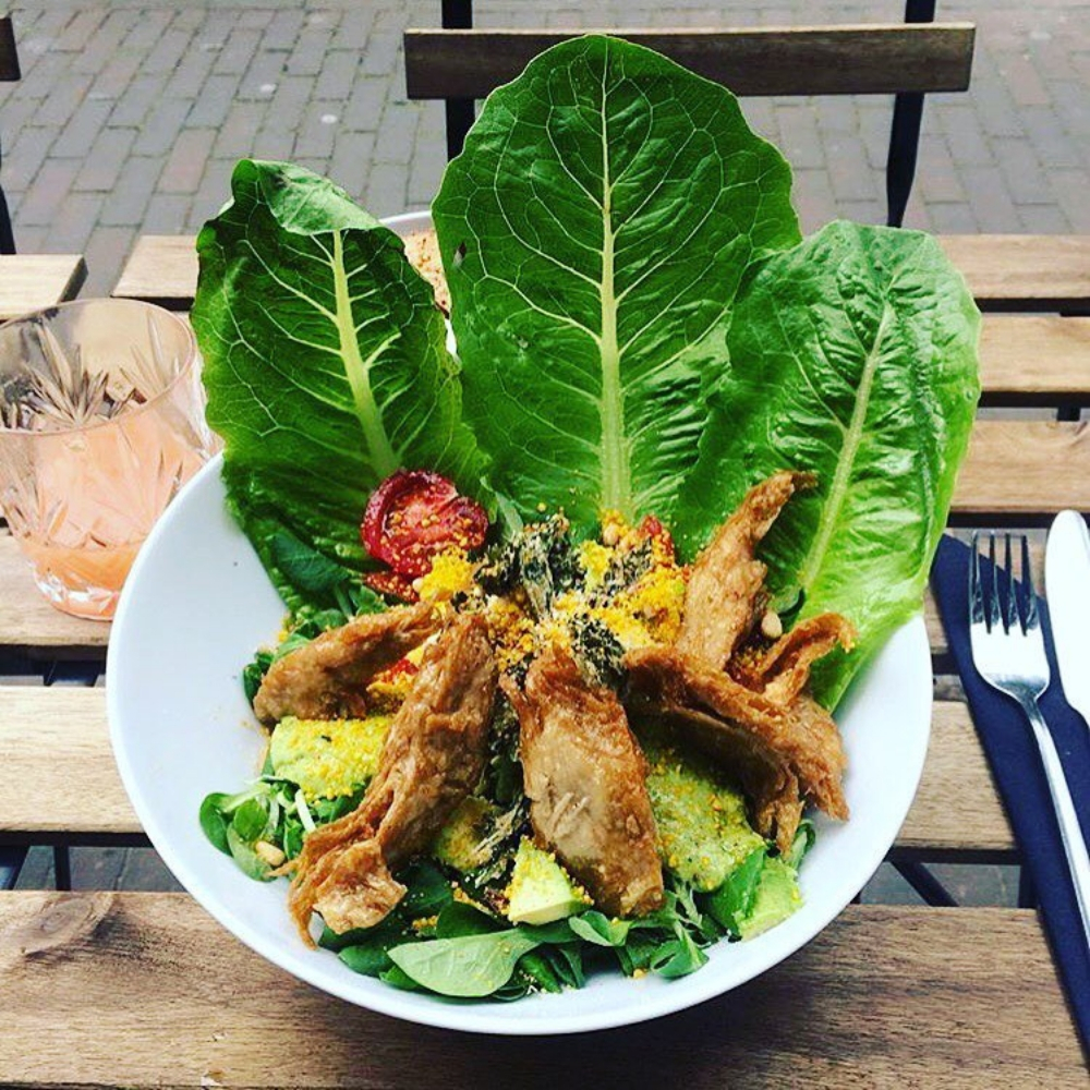 NO CHICKEN CHUNKS – プラントベースドミート｜代替肉｜PBM｜ザ・ベジタリアン・ブッチャー